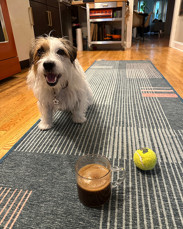 Post : Levy Restaurants